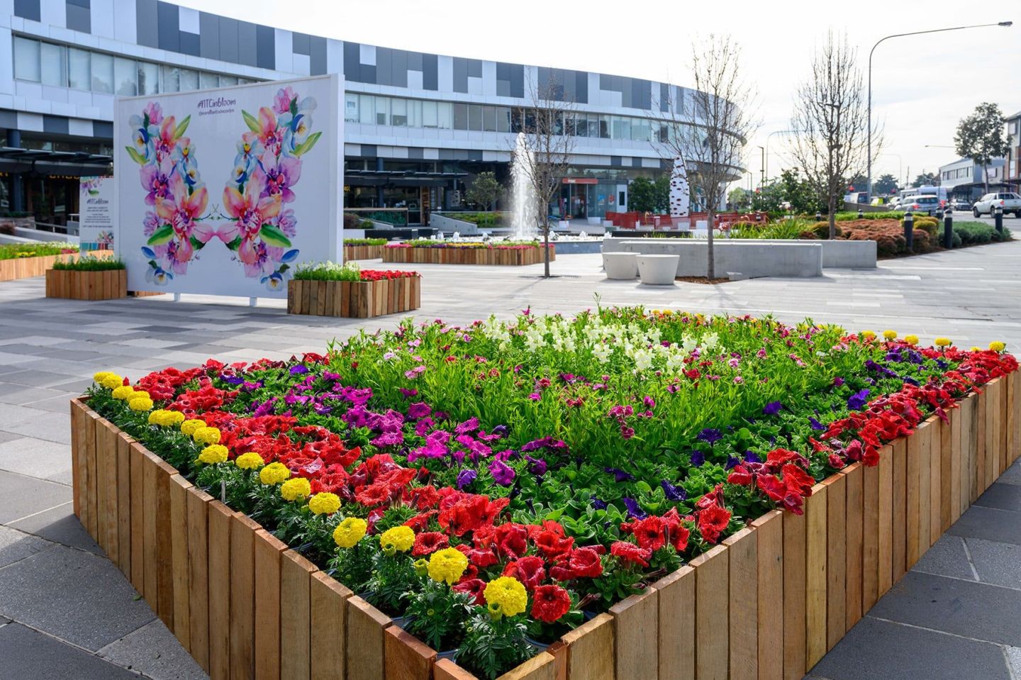 Narellan Town Centre Revitalization: a community-centric approach ...