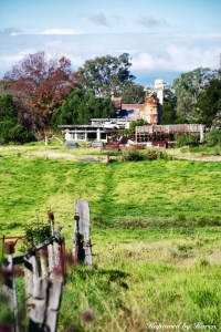 The Rotolactor, a Menangle milking marvel – Camden History Notes