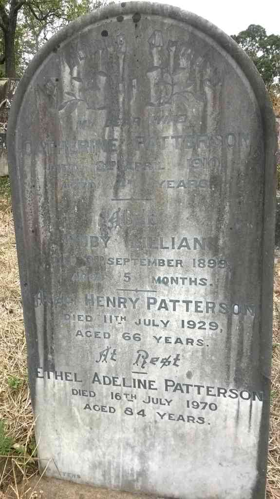 The Patterson family of Elderslie, the value of family histories ...