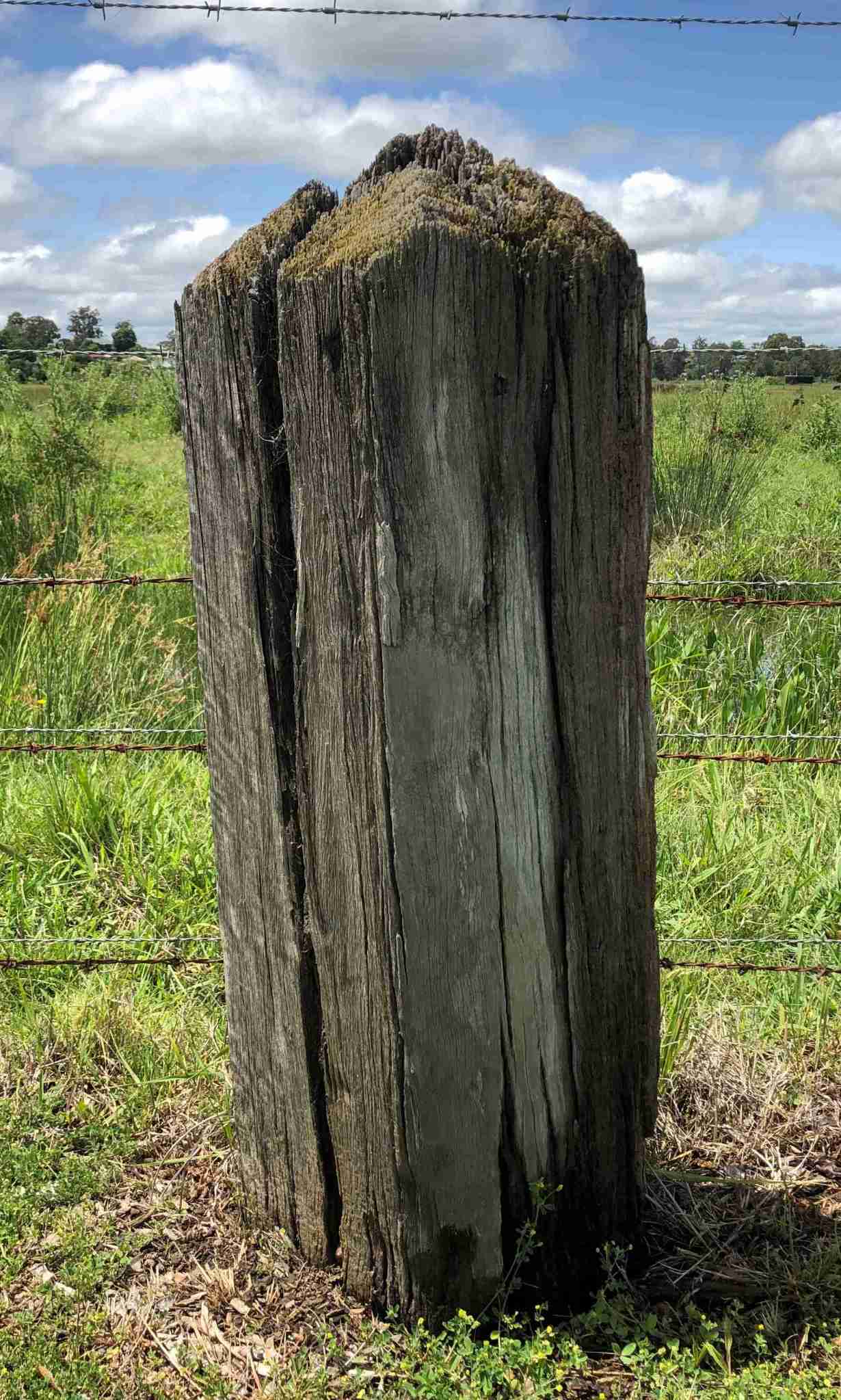 Mileposts captured the distance of the past – Camden History Notes