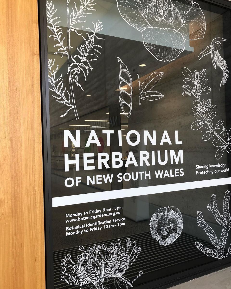 Botanic gardens herbarium at Mount Annan wins top architecture award ...