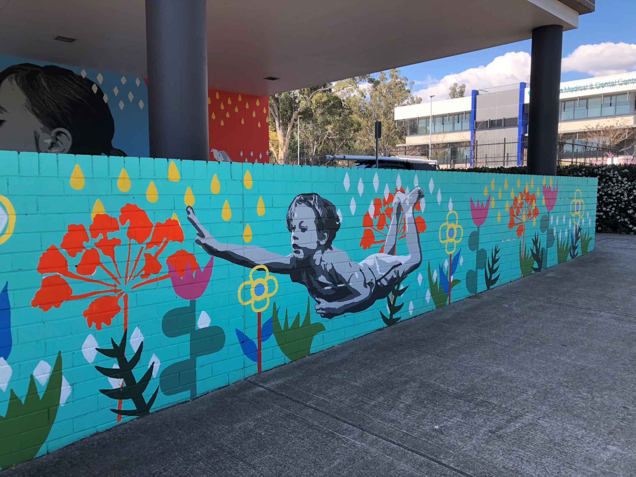 Narellan Library Murals, a wall of public art – Camden History Notes